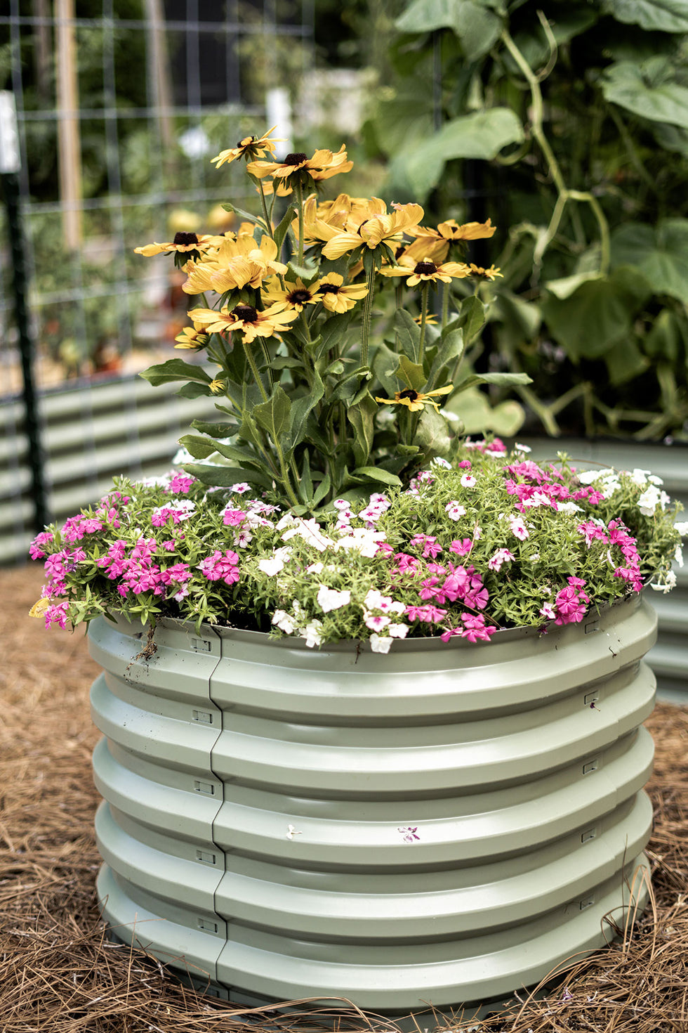 Gro-Rite Garden USA - Hassle-Free Raised Bed Gardening!