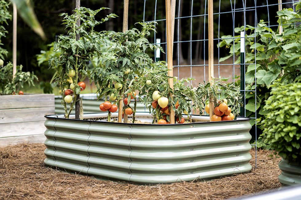 Gro-Rite Garden USA - Hassle-Free Raised Bed Gardening!